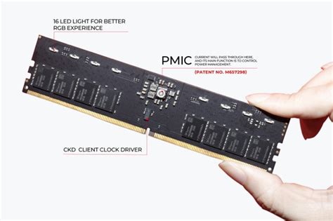 Jusquà Des Vitesses Ddr5 8800 De Beaux Designs Gamingdeputy France