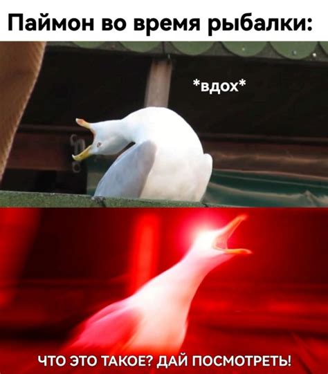 ﻿Паймон во время рыбалки ЧТО ЭТО ТАКОЕ ДАЙ ПОСМОТРЕТЬ Paimon