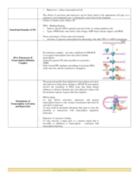 Gene Regulation Flashcards At Charlotte Hudson Blog