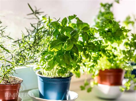 Дом и Сад — Интерьеры Дизайн Декор для дома Дача и Ландшафт