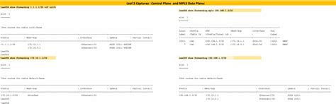 Deploy Layer3 Evpn Over Segment Routing Mpls In Nexus 9300 Cisco