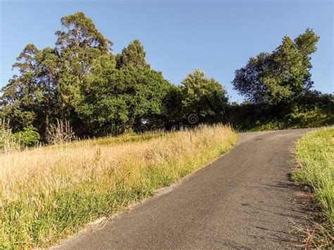 Road Between Fallow Fields Stock Image Image Of Blossom 114858667