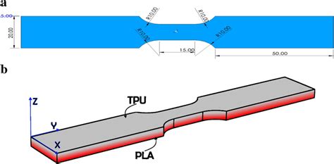 A Dimension Of The Specimen As Per E606m And B 3d Printed Fgm Specimen Download Scientific Diagram
