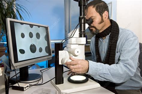 Micrometeorite Research Stock Image R305 0263 Science Photo Library