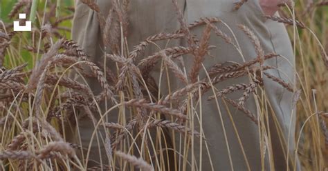 흰 티셔츠와 갈색 치마를 입은 여자가 노란 해바라기를 들고 있다 사진 Unsplash의 무료 노보시비르스크 이미지