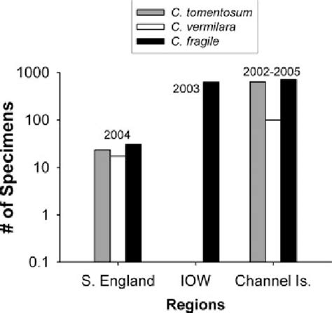 Contemporary Specimens Of Native And Introduced Codium In Southern