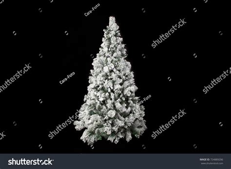 Christmas Tree Photography Black And White