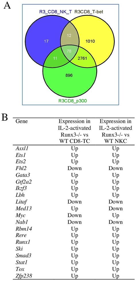 A The Majority Of The 118 Common Runx3 Regulated Genes In Download Scientific Diagram