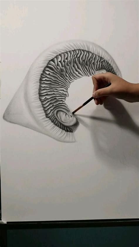 How To Draw An Ear Drawing Eardrawing Pencil Drawings Drawing Techniques Realistic Sketch