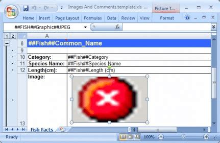 TMS FlexCel Studio For VCL 3 4 Download Free Trial