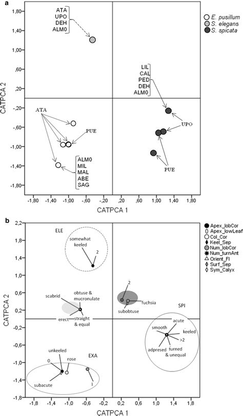 Results Of The Optimal Scaling Analysis Osa Based On The First Two