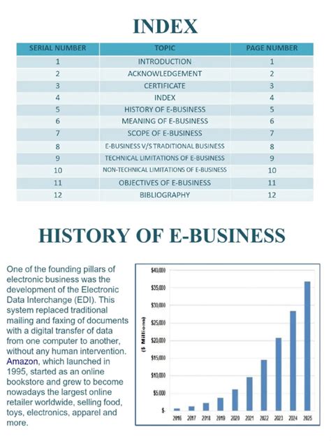 Project On E Business Pdf Electronic Business Computing