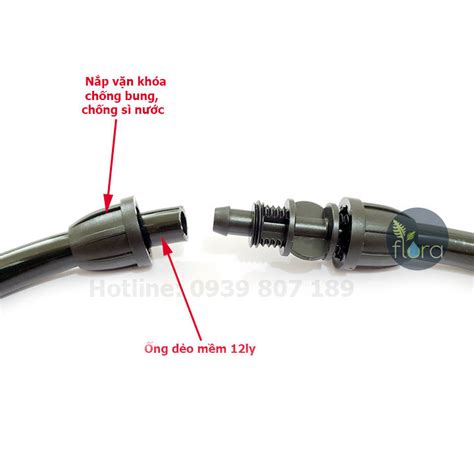 N I Ng Ly Malee Mm Ph Ki N H Th Ng T I C Y T I Tphcm