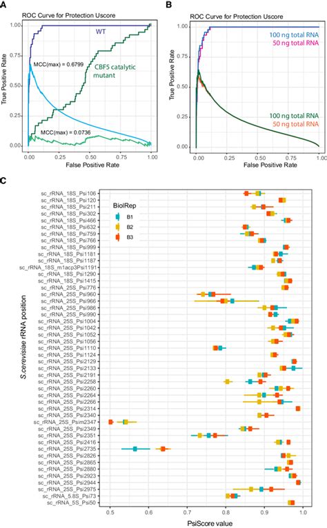 Pseudouridine Detection In Wt Yeast Rrna A Receiver Operating Download Scientific Diagram