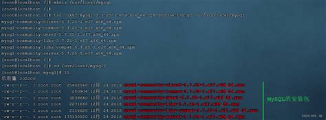 linux编程环境和软件设施安装 怎么配置linux环境 csdn博客