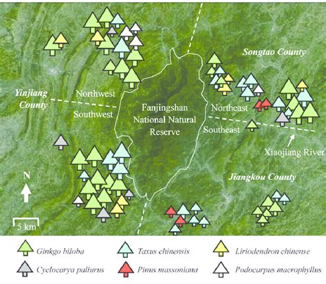 Spatial Distribution Patterns Of Long Lived Trees Of Six Relict Species
