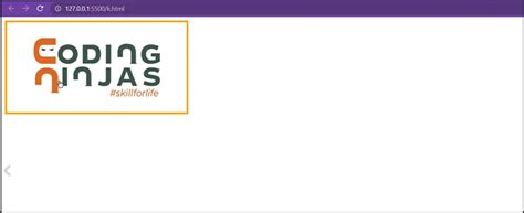 HTML Tag Naukri Code