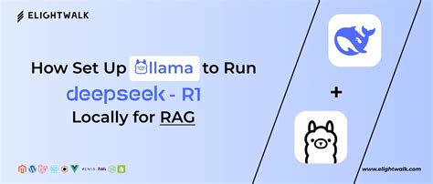 how set up ollama to run deepseek r1 locally for rag