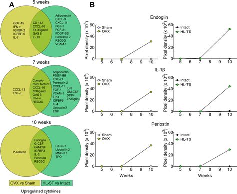 comparison of cytokines content in circulating evs a venn diagrams