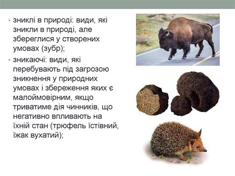 Червона книга та чорні списки видів тварин Зелена книга України презентация онлайн