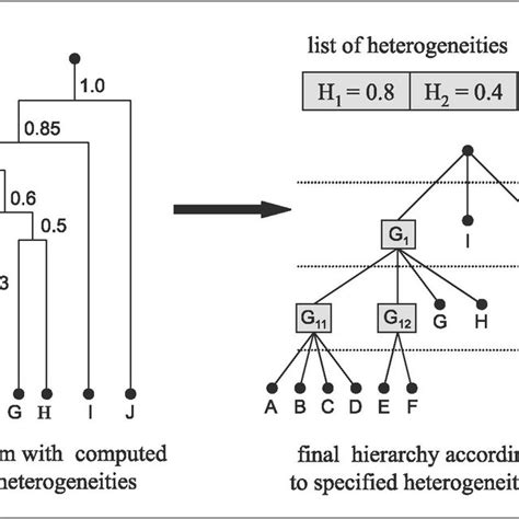 Construction Of The Final Hierarchy Tree With Three Levels Based On The