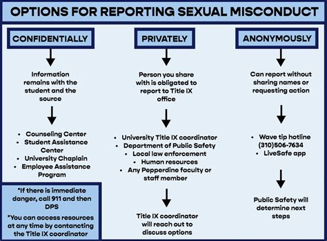 Reporting Sexual Misconduct How Pepperdine Handles The Process Pepperdine Graphic