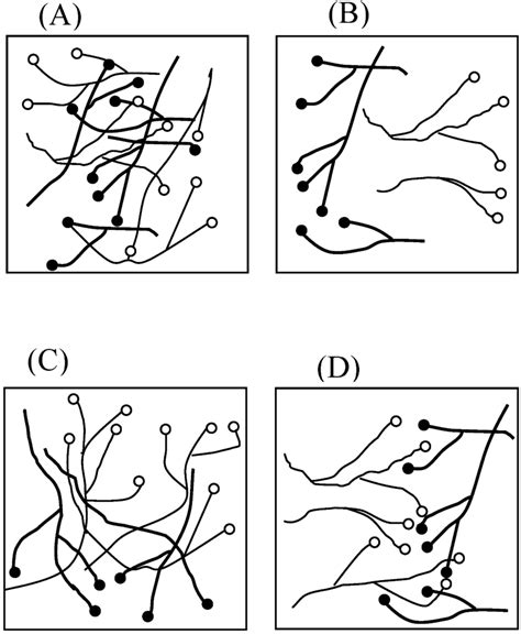 Four Fine Scale Inter Species Spatial Interaction Patterns Drawn From