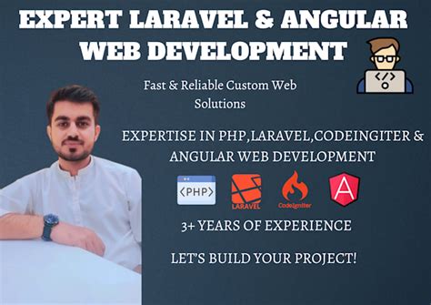 develop custom web apps with laravel codeigniter and angular by
