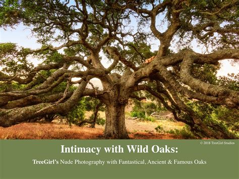 Intimate Encounters With Wild Oaks International Oak Society