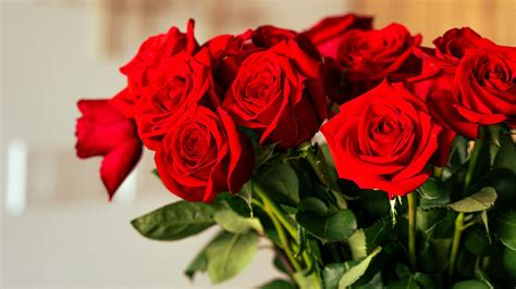 Nerdy Trivia June 12 2025 Classic Nerd