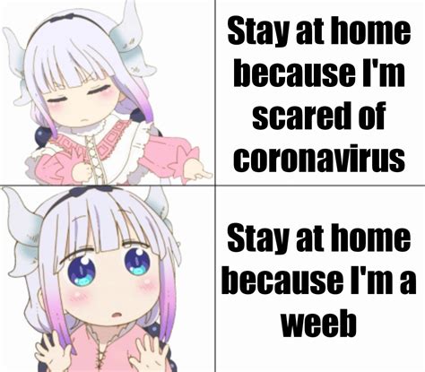 No No He Has Got A Point R Animemes COVID Pandemic Know Your Meme