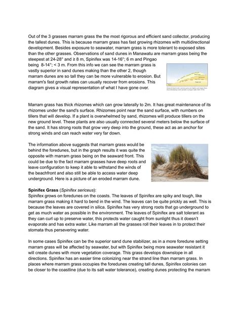 Ncea Level 2 As91158 Investigate A Pattern In An Ecological Community With Supervision