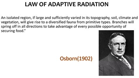 Adaptive Radiation In Mammals PPTX