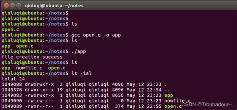 嵌入式linux之文件io的使用linux使用read读取io口状态 Csdn博客