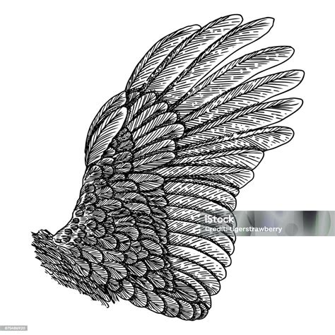 날개입니다 손으로 그린된 상세한 새 날개입니다 카드 포스터 T셔츠 스마트 전화 Cd 인쇄 디자인 벡터입니다 개념에 대한 스톡