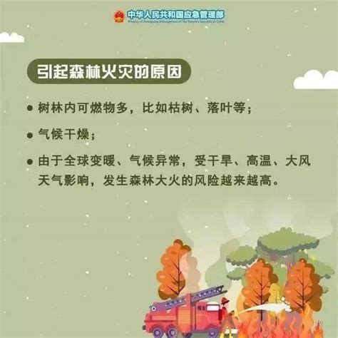 森林草原防灭火 防火于未“燃”——森林防火宣传知识，请牢记！ 火灾 林区 火源