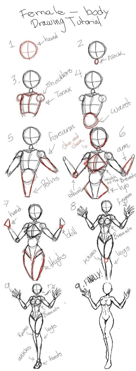 Cuerpos De Mujer Dibujo