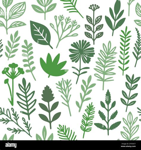 Eamless Pattern With Green Plants Of Different Species On White