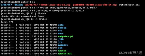 Oracle11g Rac安装文档oracle 11g Rac安装文档 Csdn博客 Oracle11g Rac安装文档oracle 11g Rac安装文档 Csdn博客