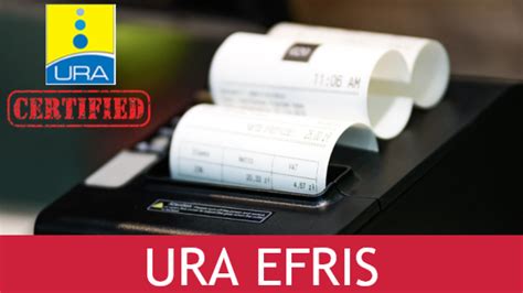 Tax Alert Efris Compliance