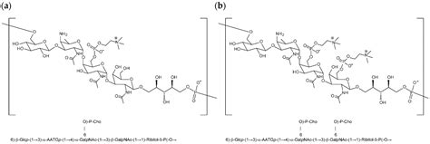 Identification And Quantification Of A Pneumococcal Cell Wall