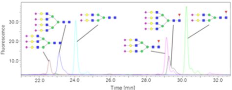 【耀析漫谈】生物大分子质量分析系列 N 寡糖亲水色谱（hilic）与反相色谱（rpc）分析比较 知乎