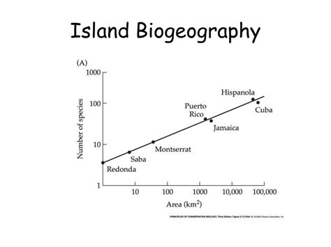 Ppt Island Biogeography Powerpoint Presentation Free Download Id