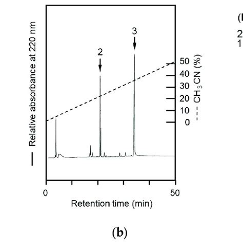 Rp Hplc Profiles Of The Arg 5 Tyr Nh 2 Peptide A And Reaction
