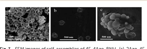 Figure 3 From Sequence Effect On The Self Assembly Of Discrete