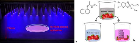 Schematic Of Experimental Setup A The Pin To Plate Atmospheric Plasma Download Scientific