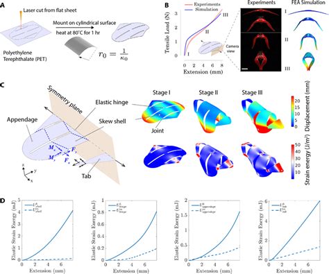 Shape Morphing Of Kirigami Shell A Fabrication Of Kirigami Patterned Download Scientific