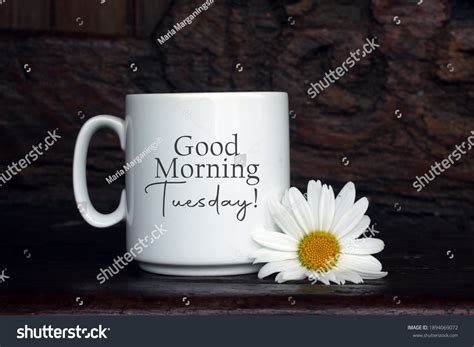 Tuesday Morning Coffee