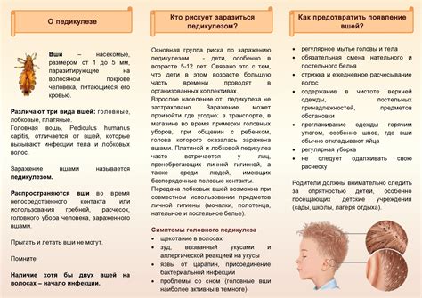 Профилактика педикулеза в школе у детей