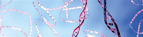 Pure Plasmid Dna Extraction Plasmid Dna Purification Qiagen